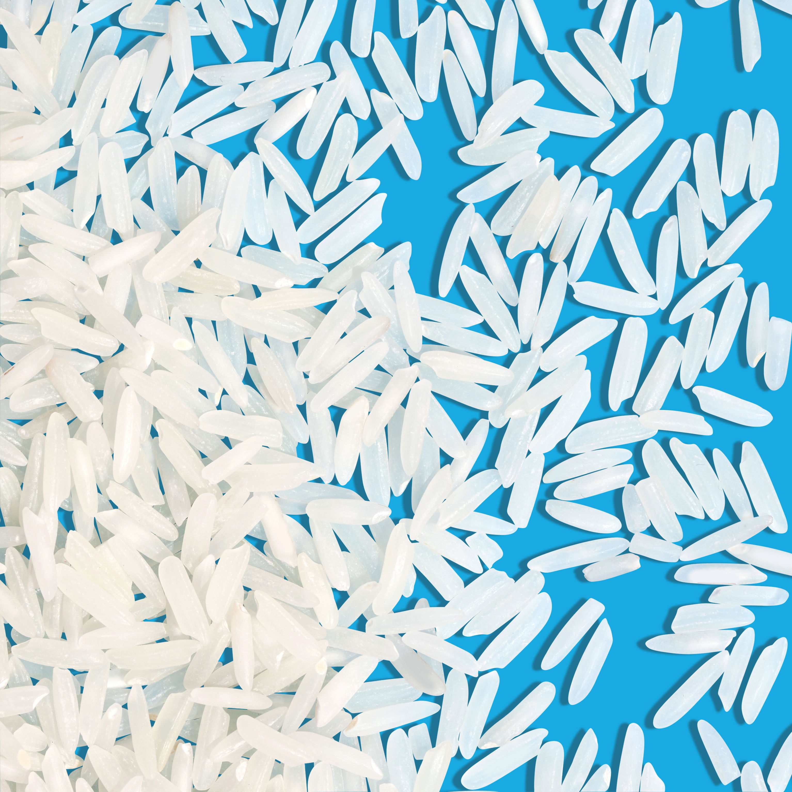 Parboiled Reis & das Verfahren | REISHUNGER