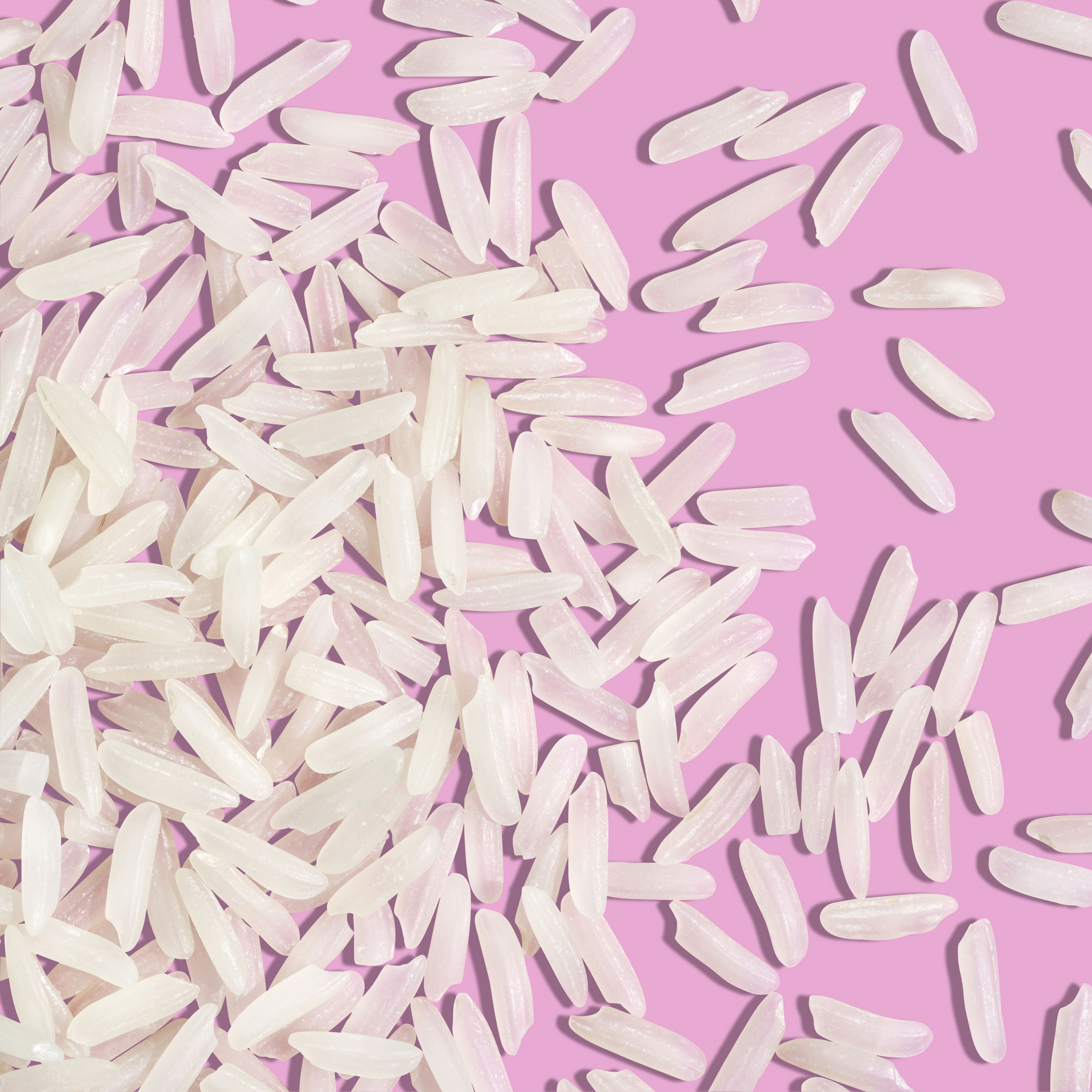 Reis & Produkte aus Reis kaufen | Premium Qualität | Reishunger