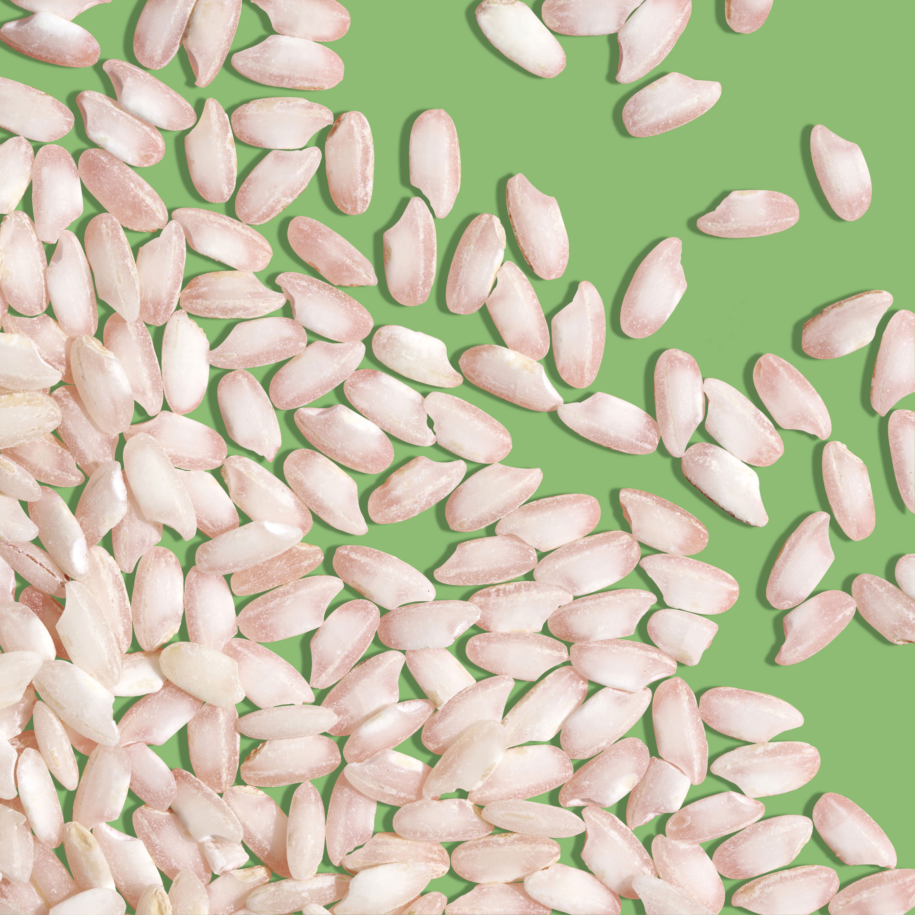 Risotto rijst kopen | bio kwaliteit | vanaf 600g | Reishunger