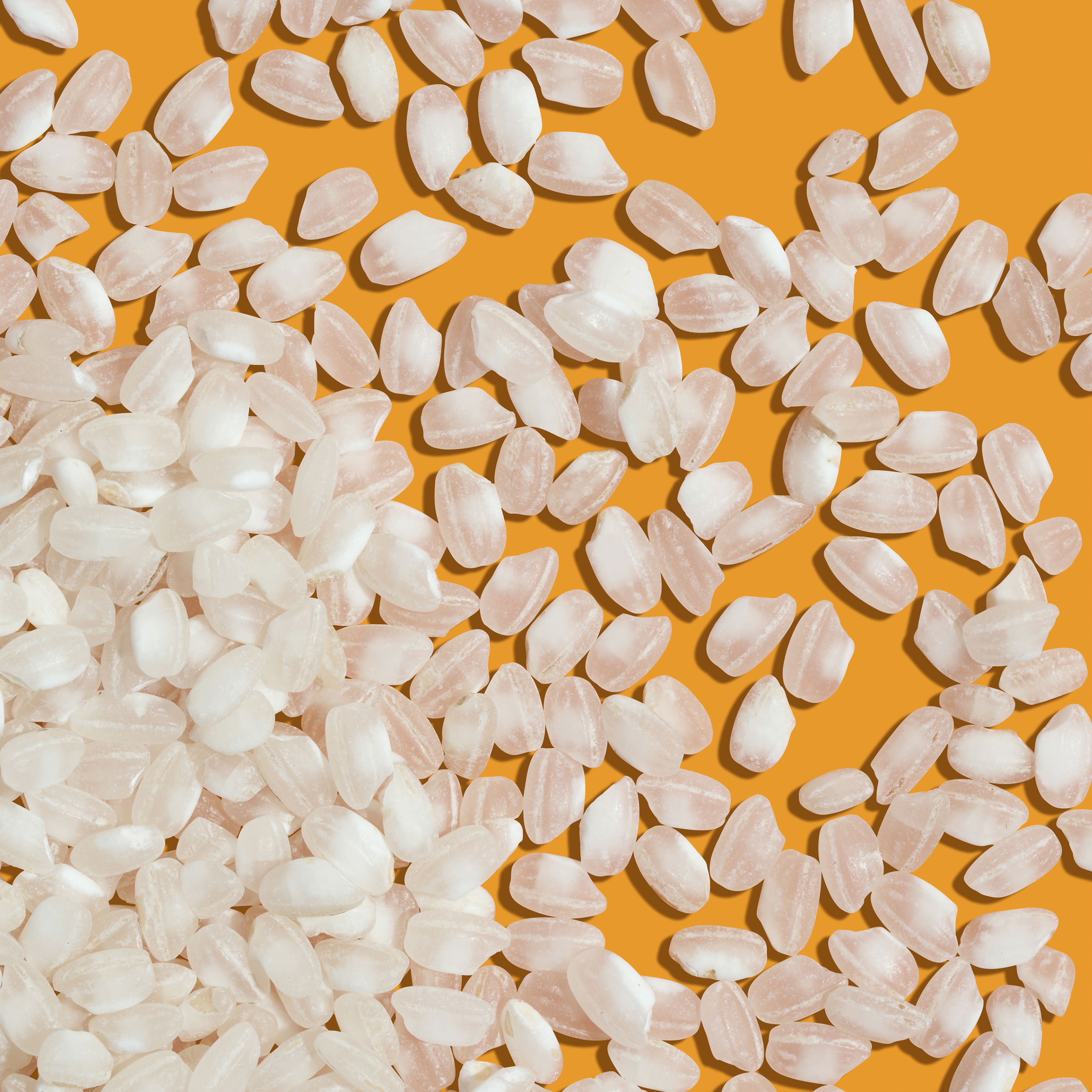 Bio Reis kaufen | Viele Sorten in Bio-Qualität | REISHUNGER