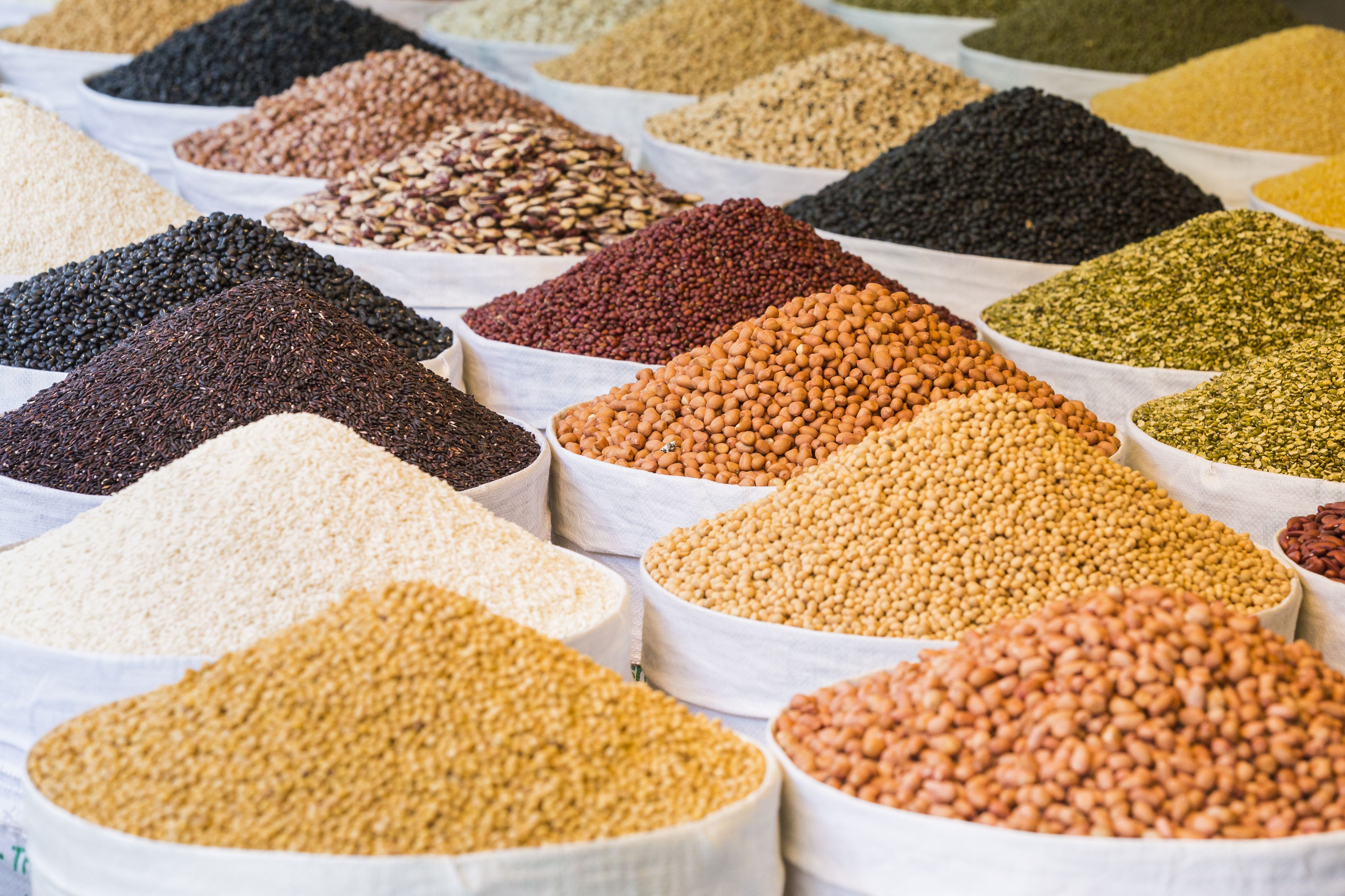 Alle Bohnensorten im Überblick | Von Kidney bis Soja | REISHUNGER