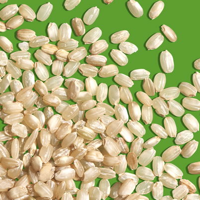 Braunen Reis kaufen | Ungeschälter Naturreis | REISHUNGER