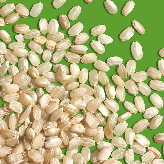 Braunen Reis kaufen | Ungeschälter Naturreis | REISHUNGER