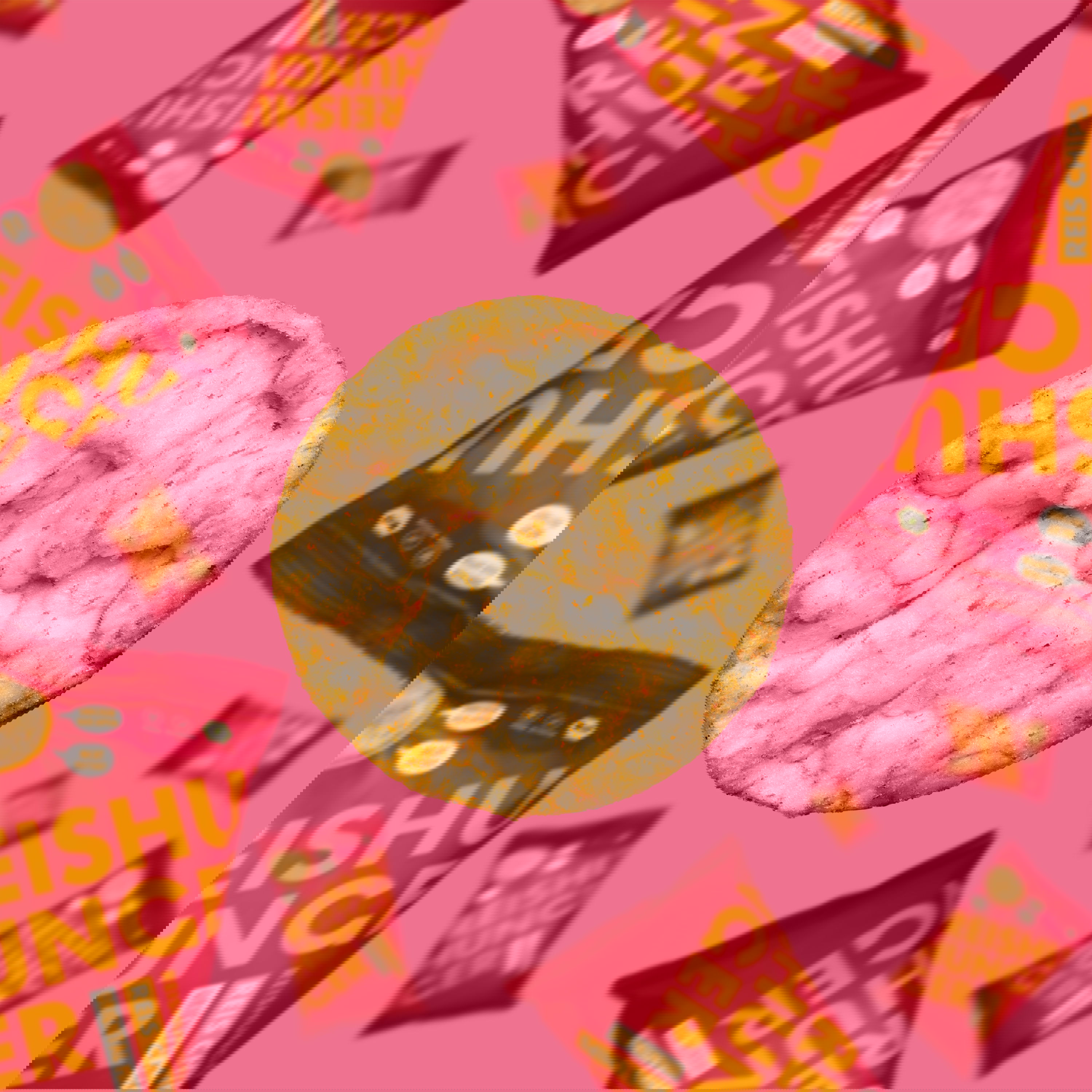 Reis Chips kaufen | Oriental Geschmack | Bio | REISHUNGER