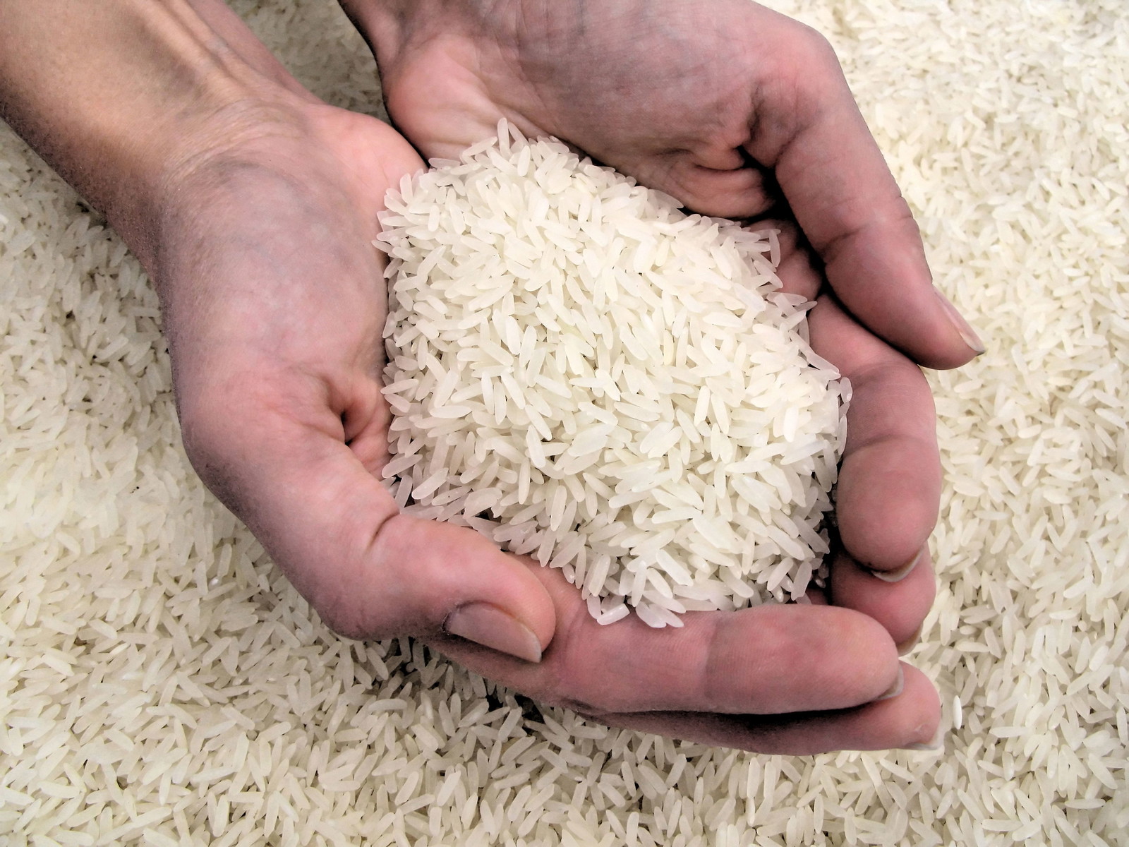 Ayurveda und Reis | Bedeutung & Tipps| REISHUNGER