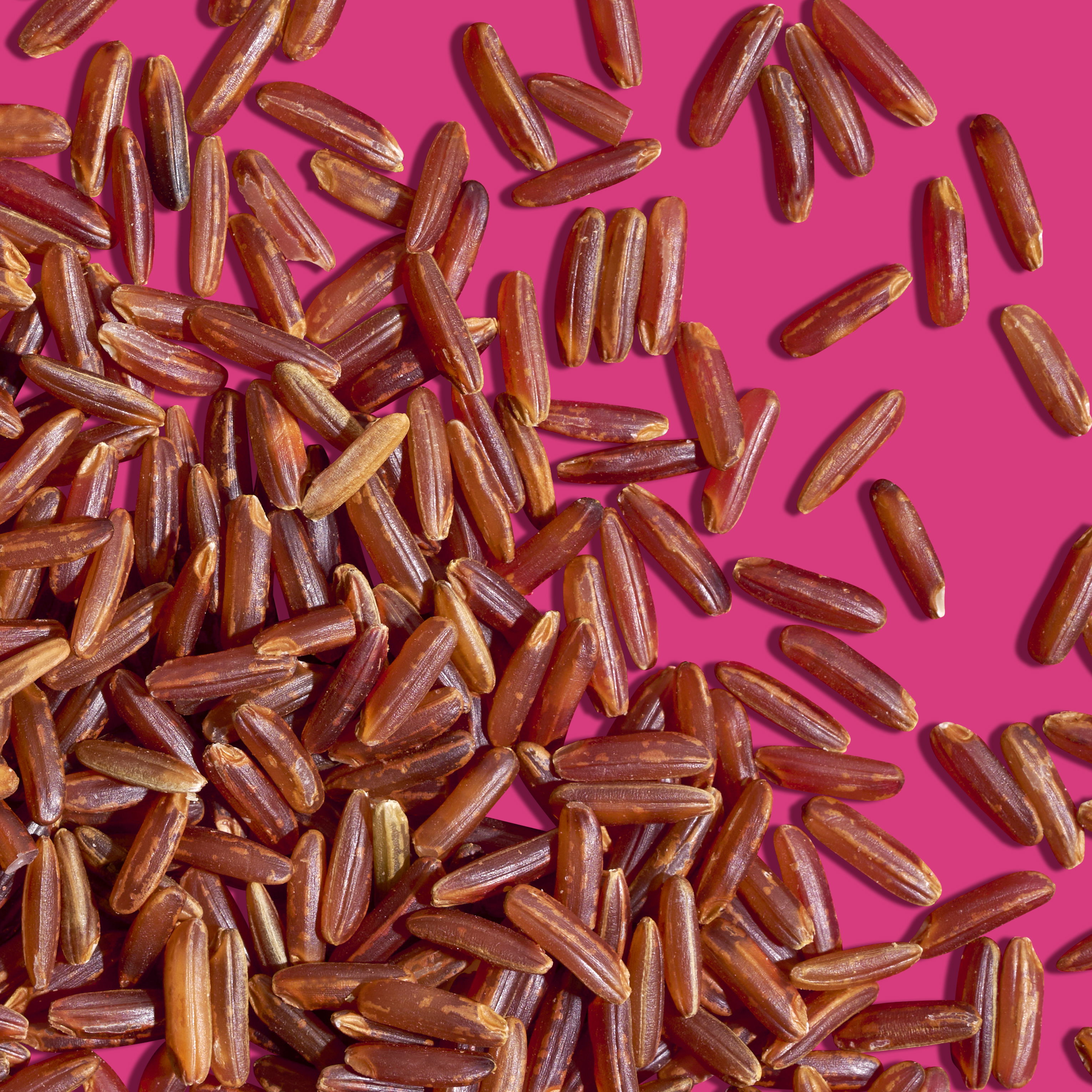 Roter Reis kaufen | Bio-Qualität | ab 600g | REISHUNGER