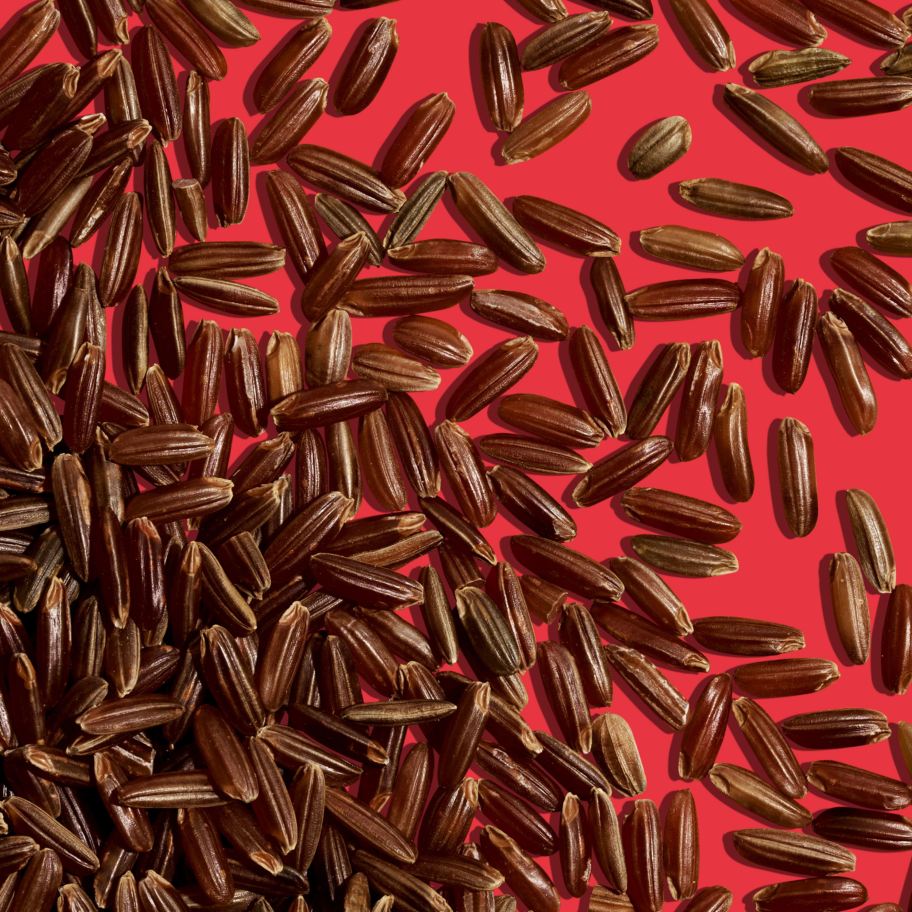 Roter Reis kaufen | Bio-Qualität | ab 600g | REISHUNGER