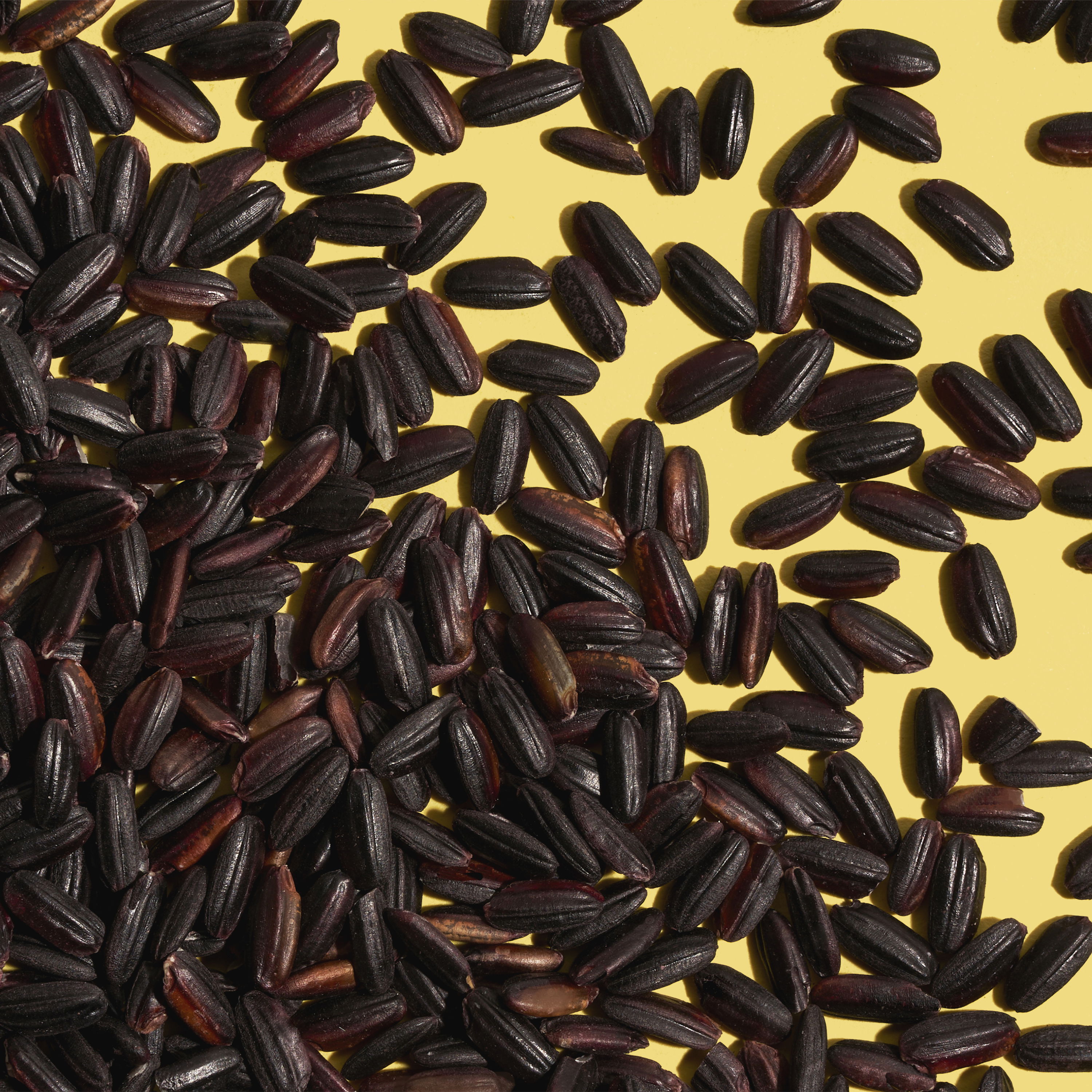 Alle Reissorten auf einen Blick | Übersicht | REISHUNGER